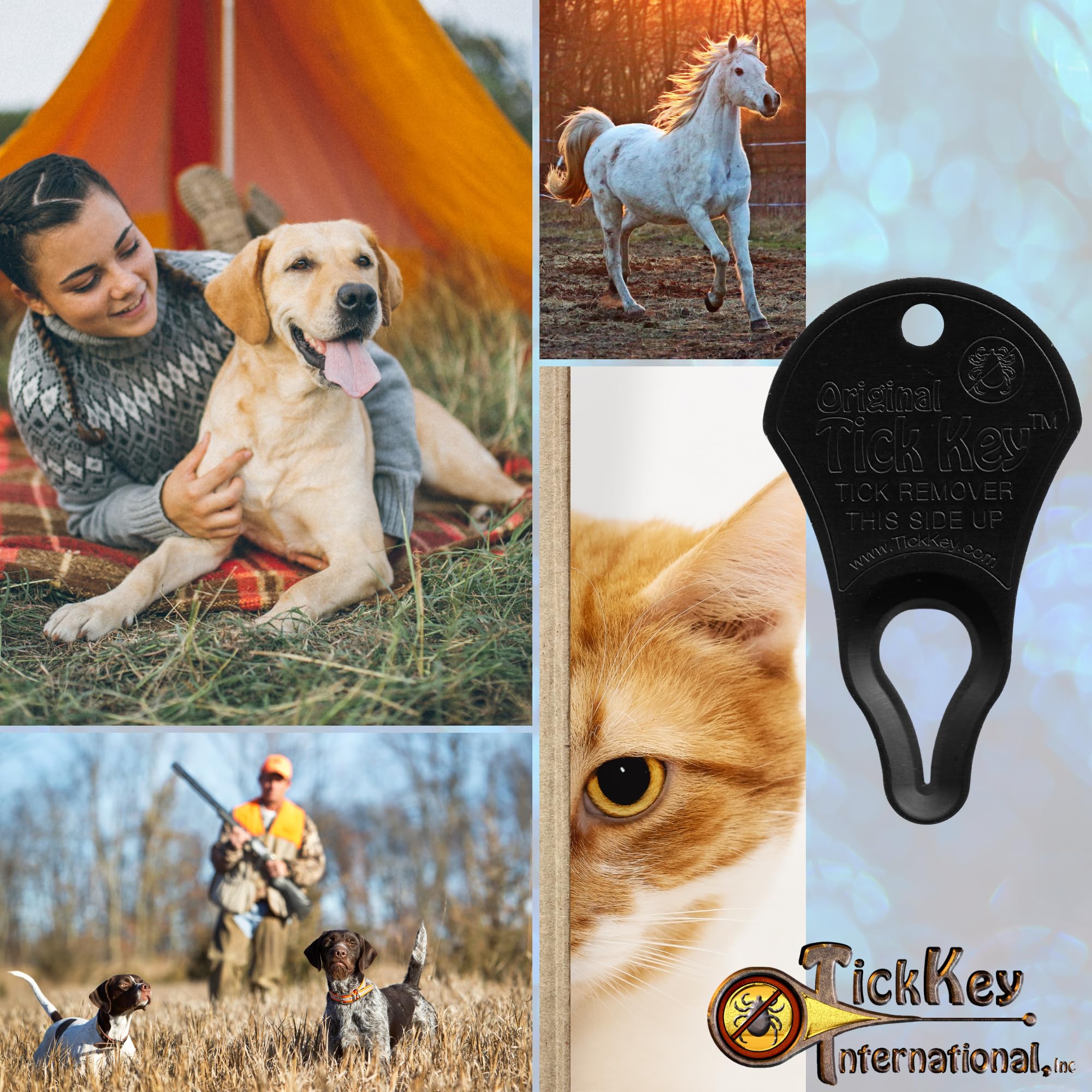 Snapklik.com : The Original Tick Key - Tick Detaching Device - Portable ...