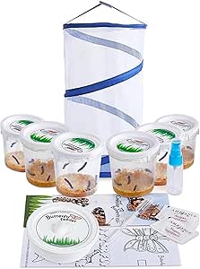 Amazon.com: Nature Gifts Live Butterfly Kit - School-Sized Educational ...