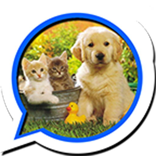Cute Pets Wallpapers - App on Amazon Appstore