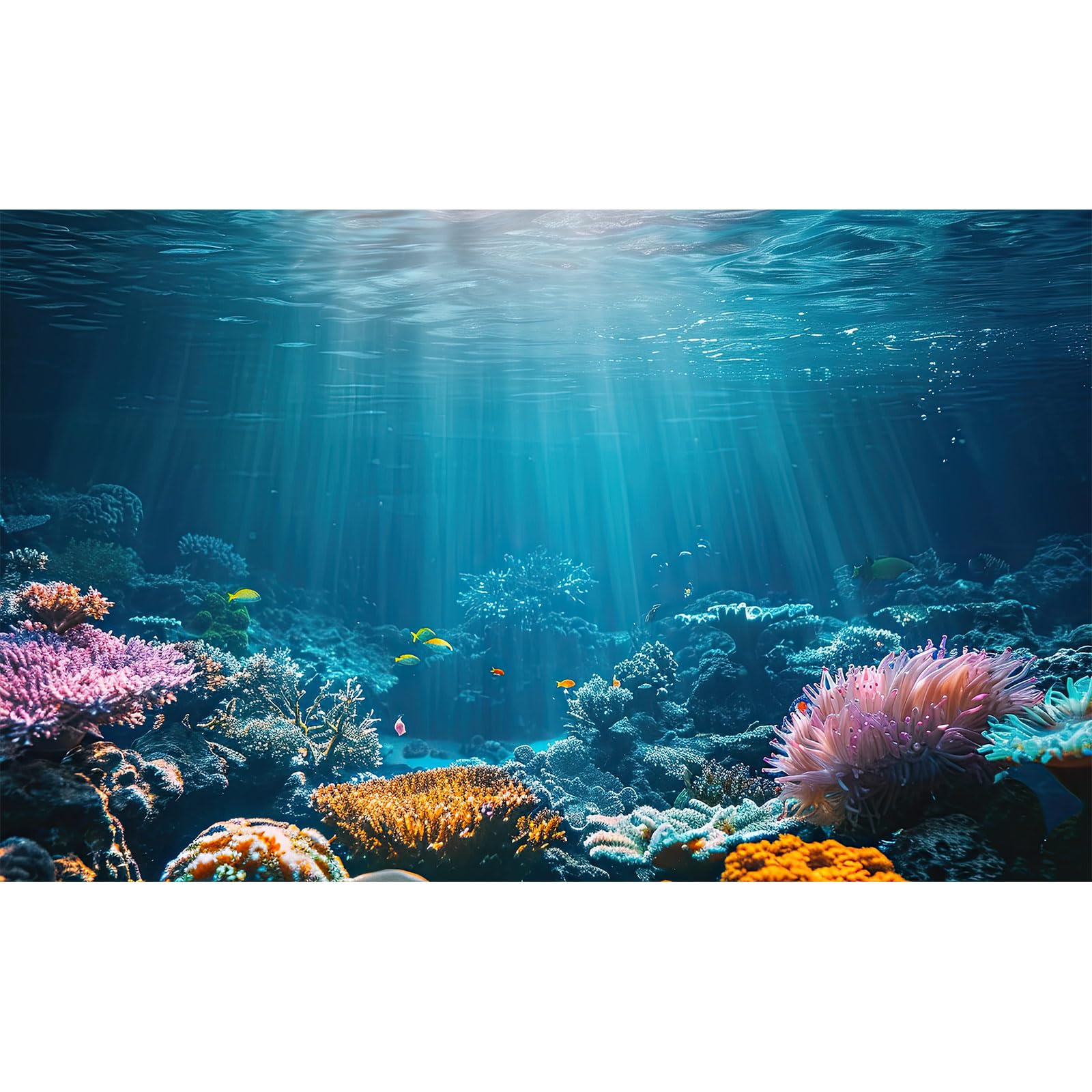 Underwater Reef Background