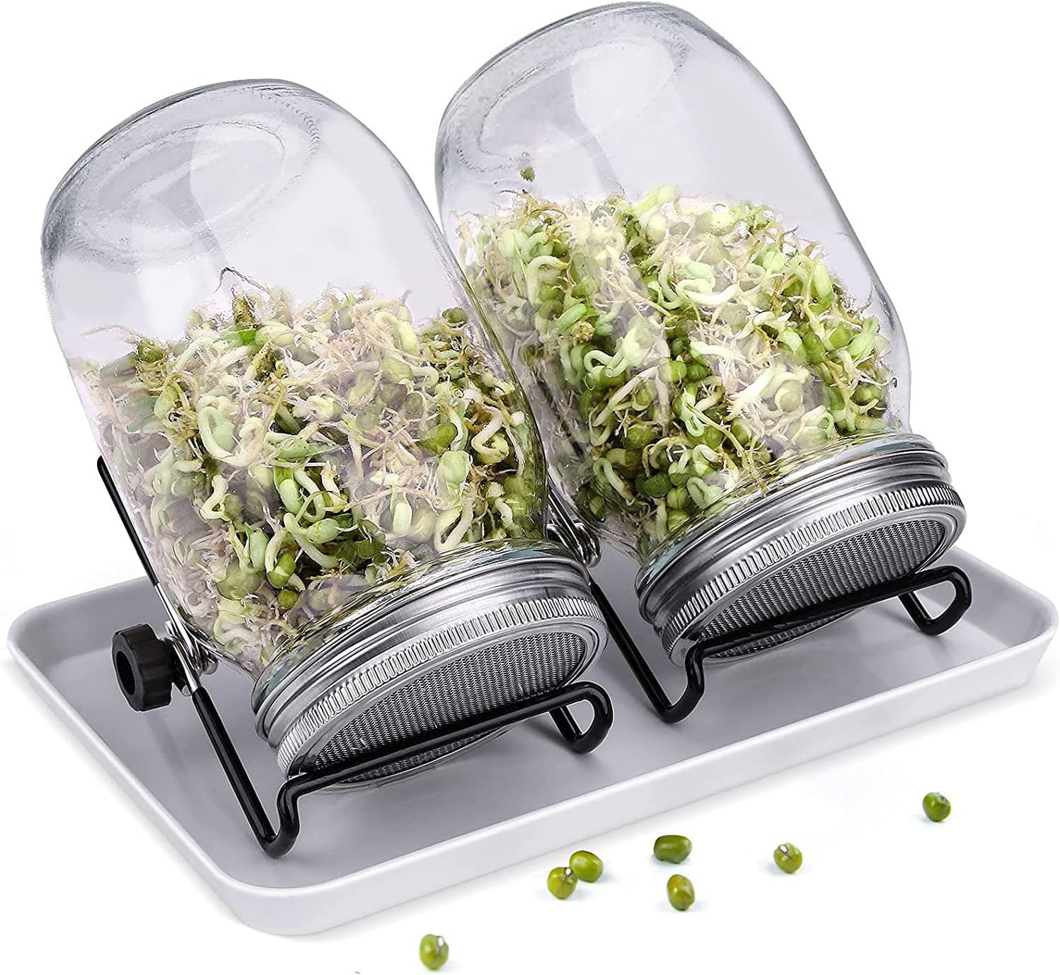 Sprouting Jar Kit, 2 Wide Mouth Mason Jars with Stainless Steel ...