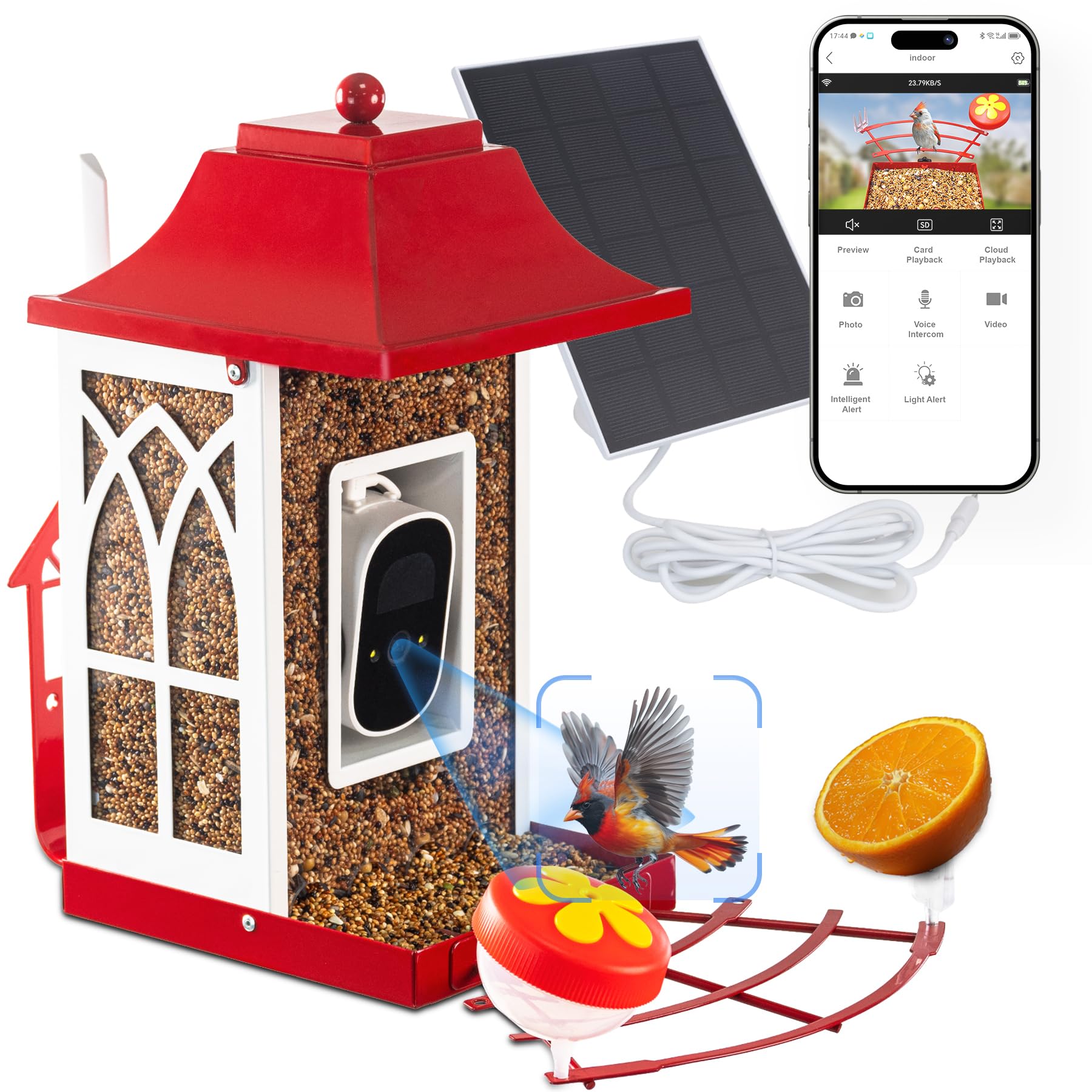 Amazon.com : ZCCQ Smart Bird Feeder with Camera & Solar Panel, Wireless ...
