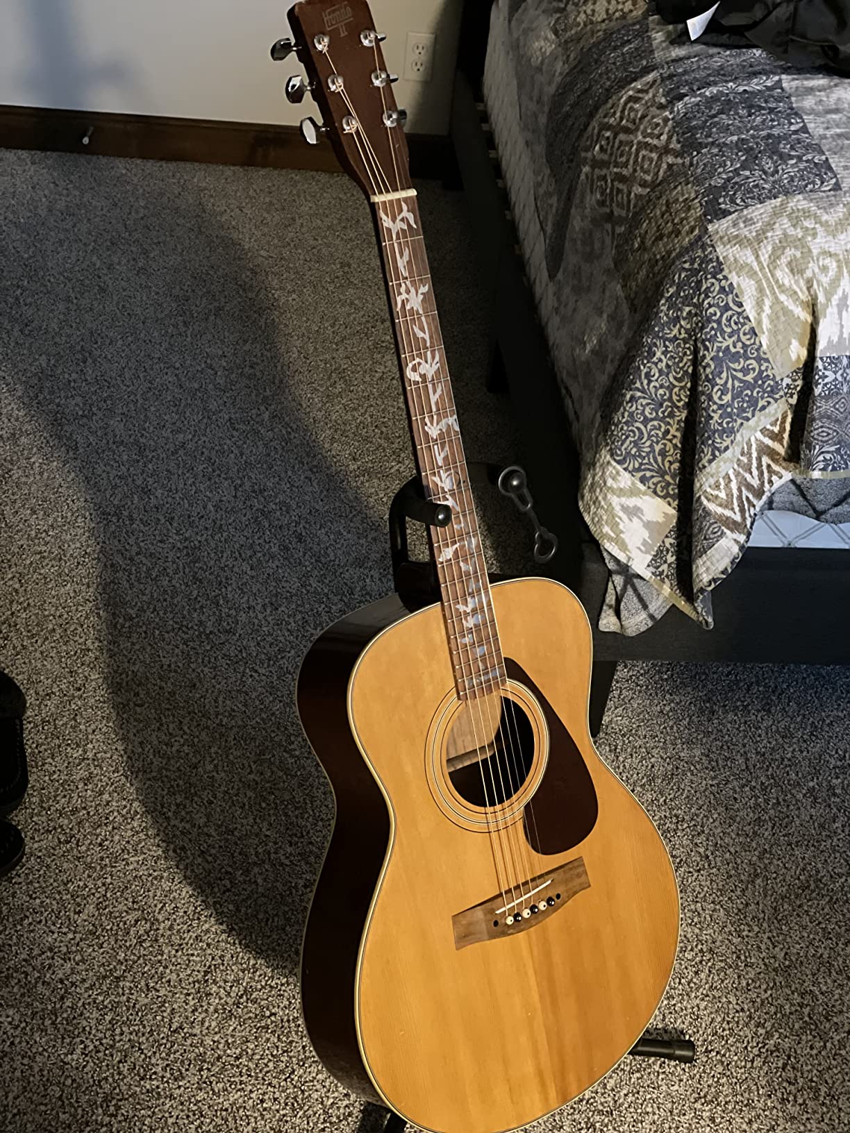 $1/mo - Finance Acoustic Electric Tree of Life Music Guitar Bass DIY ...