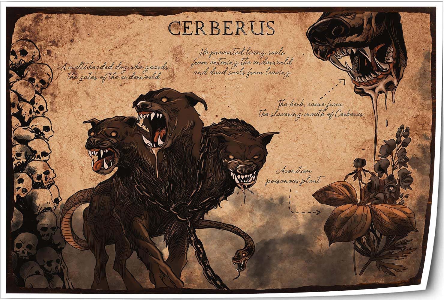 Animals Mythology Wallpapers