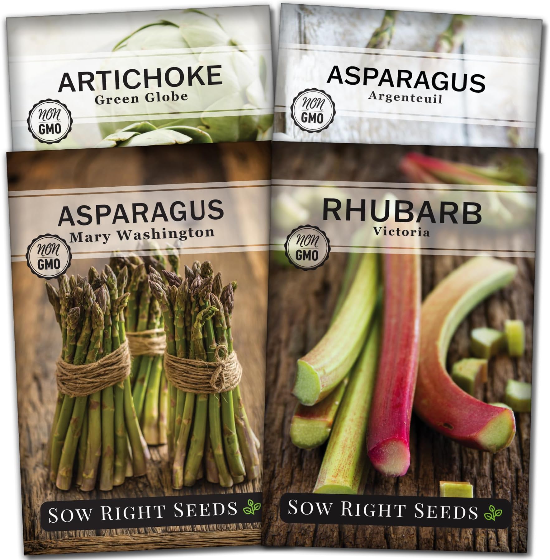 Amazon.com: Ramp,Wild Leek Seeds (Allium tricoccum) Perennial (100 ...