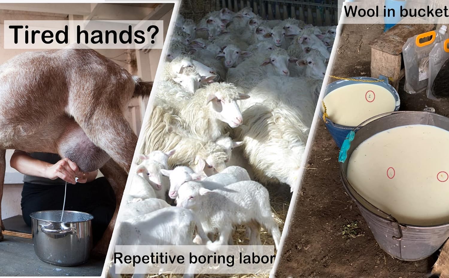 Buy Olyfanco 7L Goat Milking Machine, Pulse/Direct Suction 2 in 1 Model ...