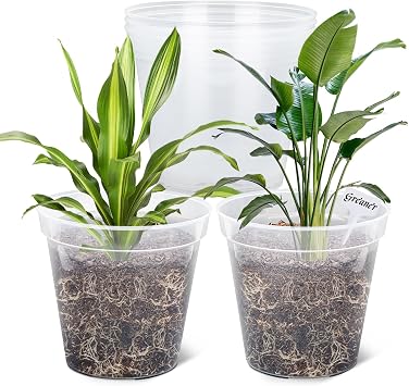 Amazon.com: GREANER Clear Plastic Plant Pots, Plastic Planter with ...