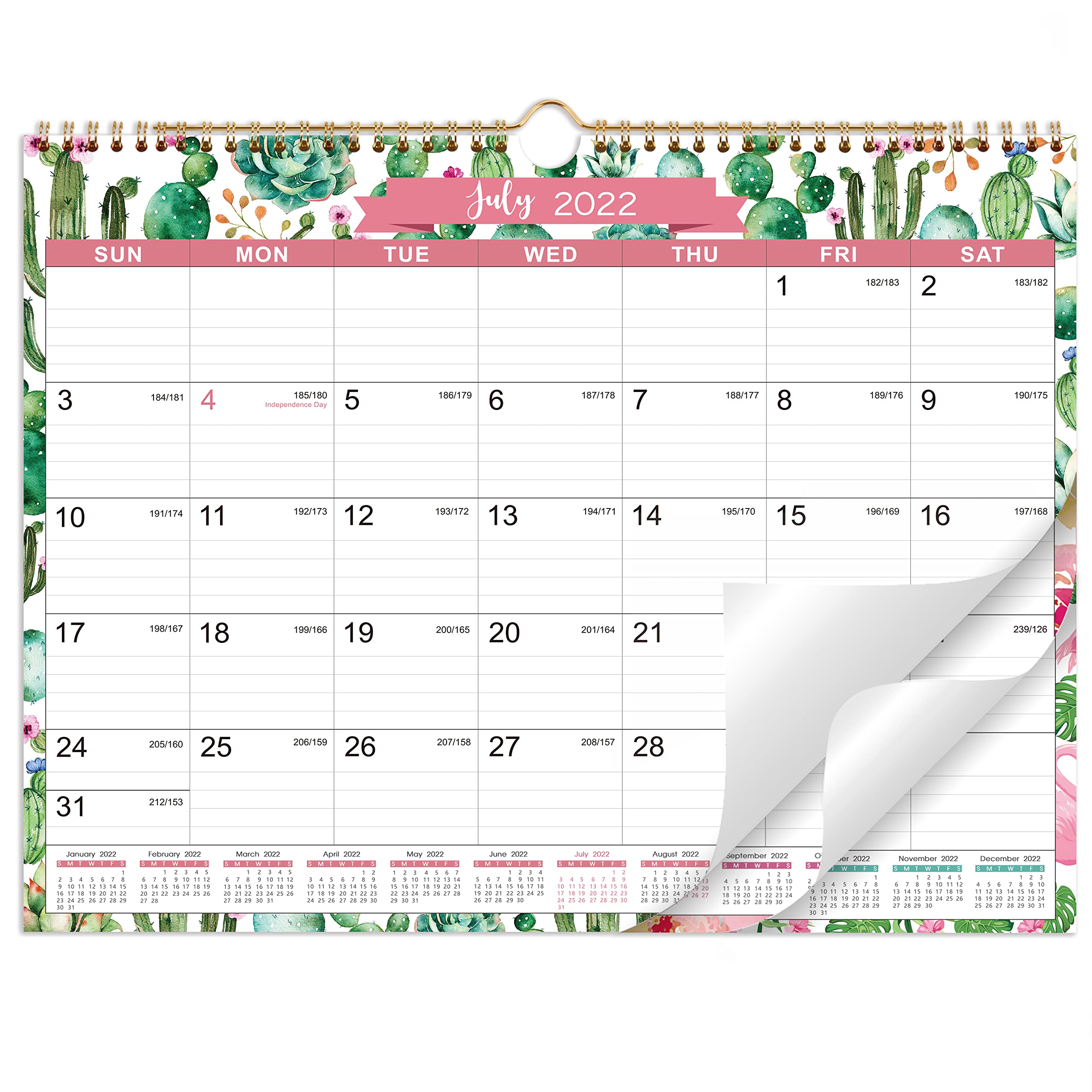 Buy 2022-2023 Calendar - Wall Calendar 2022-2023 from July 2022 ...