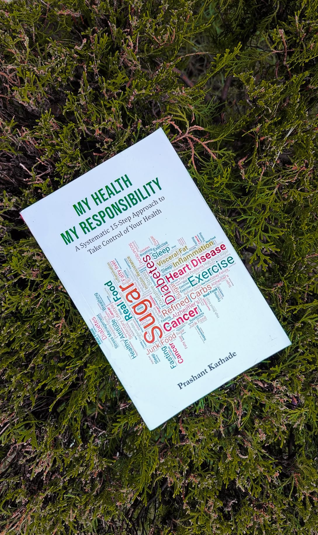 Buy My Health My Responsibility A Systematic 15-Step Approach to Take ...