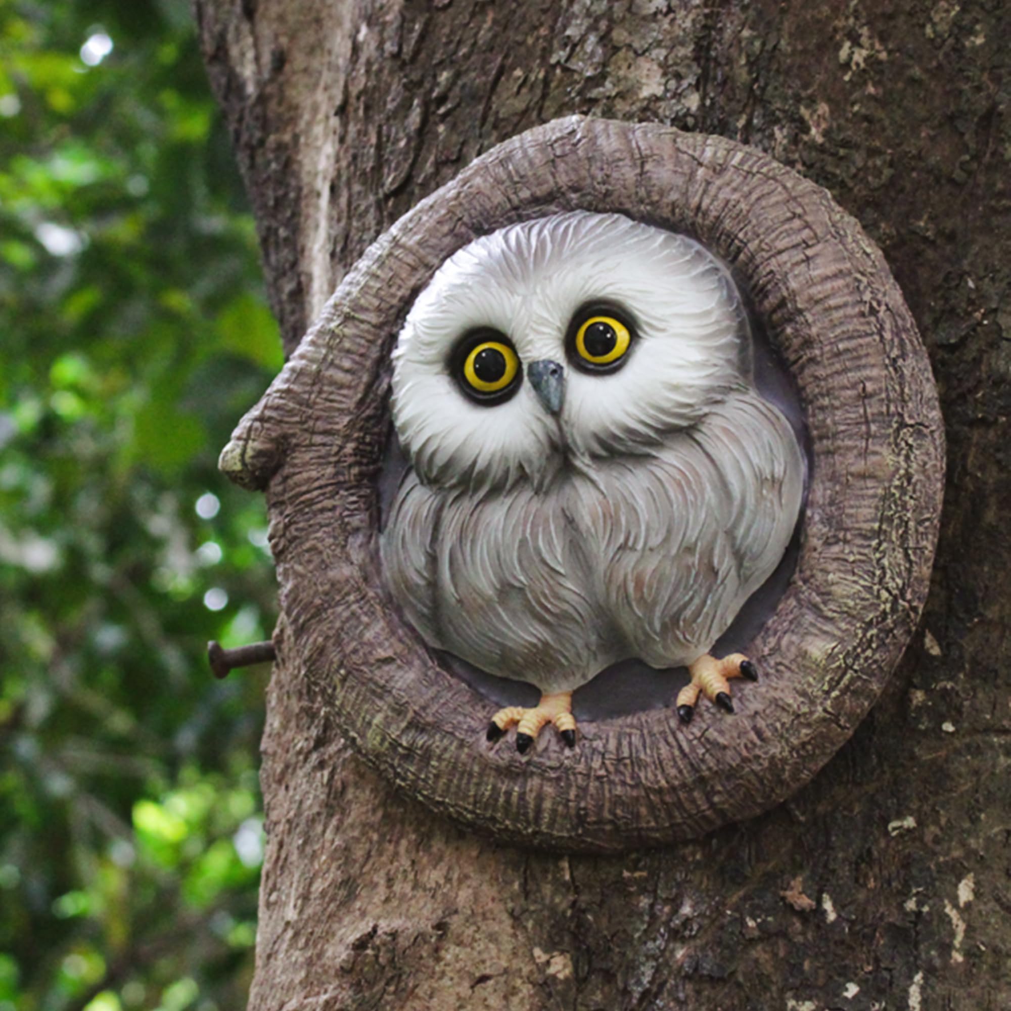 Amazon.com: Baby Owl Resin Tree Face, Owlet Tree Hugger, Outdoor ...