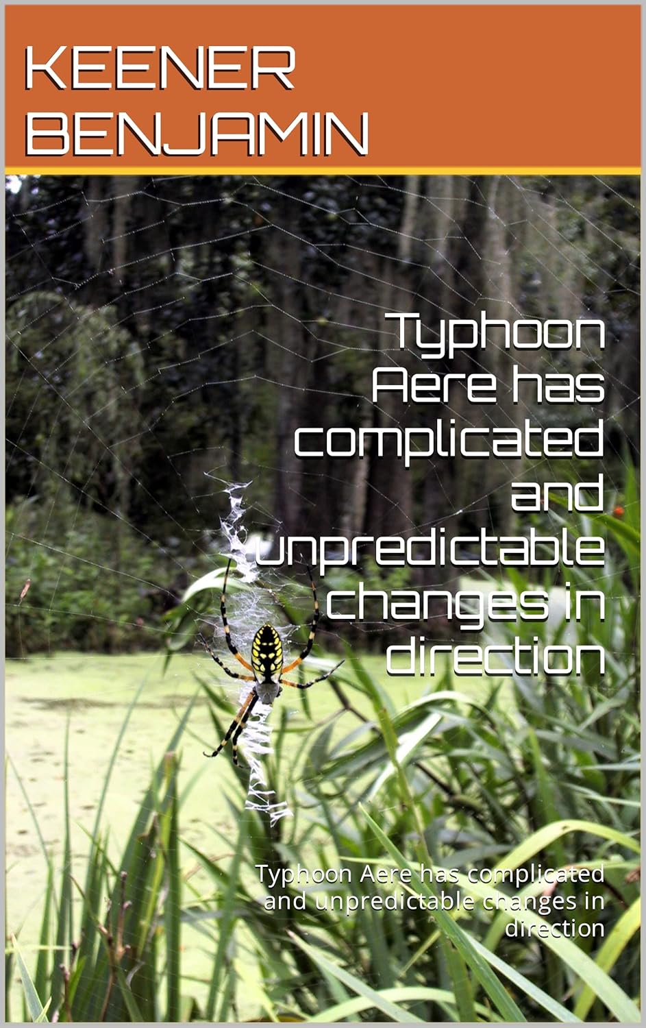 Typhoon Aere has complicated and unpredictable changes in direction ...
