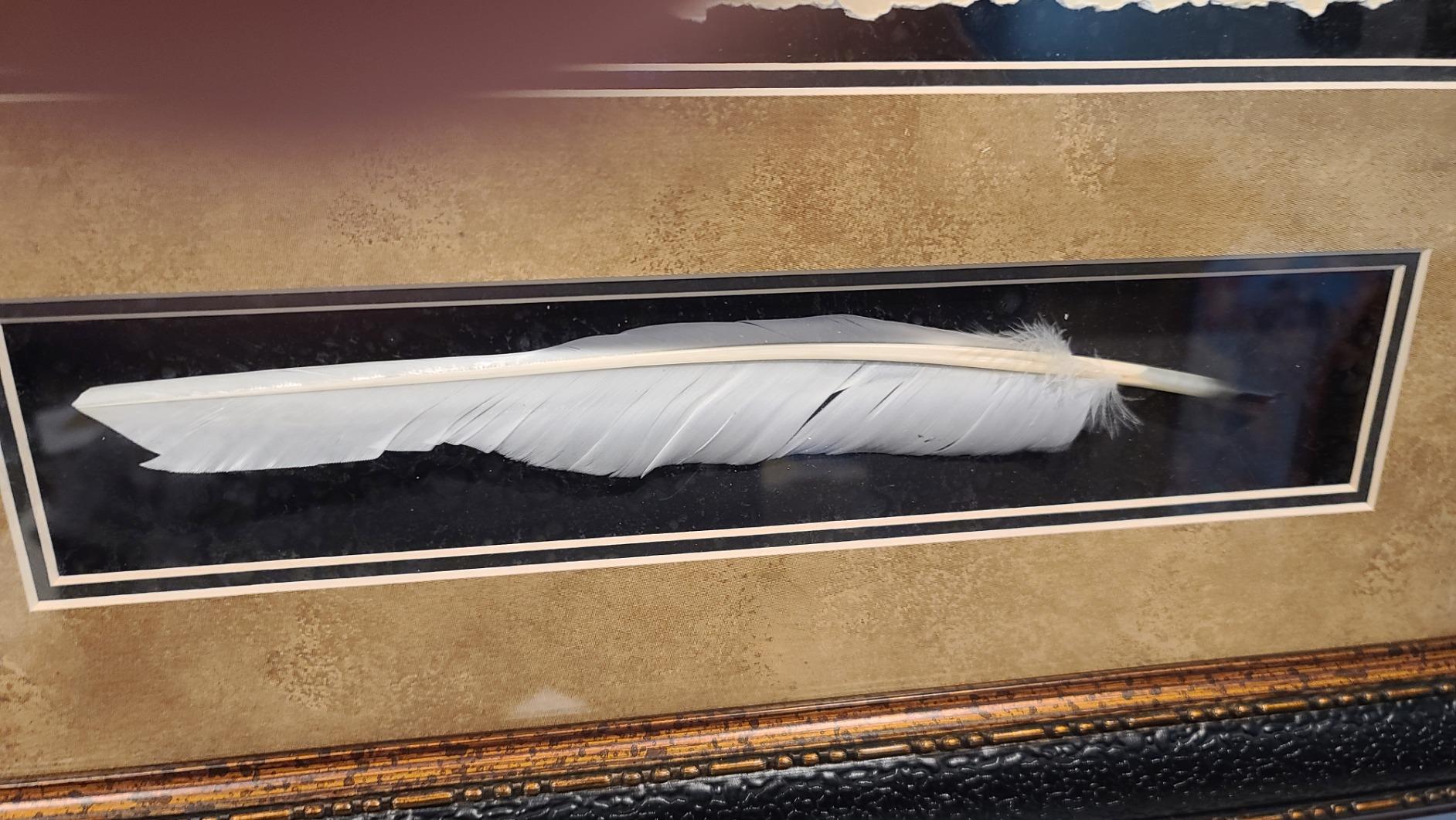 Amazon.com: | Declaration Of Independence With Quill | Custom Framed ...