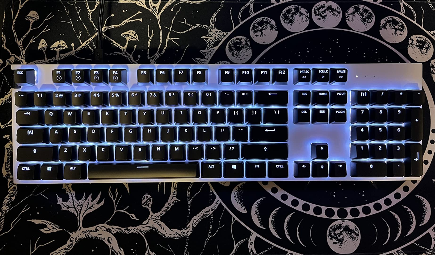 $23/mo - Finance NZXT Function 2 | Full-Size Optical Gaming Keyboard ...