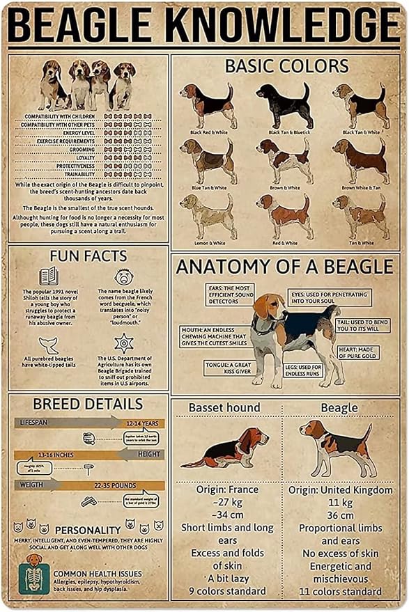 Amazon.com : Youpinnong Beagle Knowledge Metal Tin Signs Anatomy Of A ...