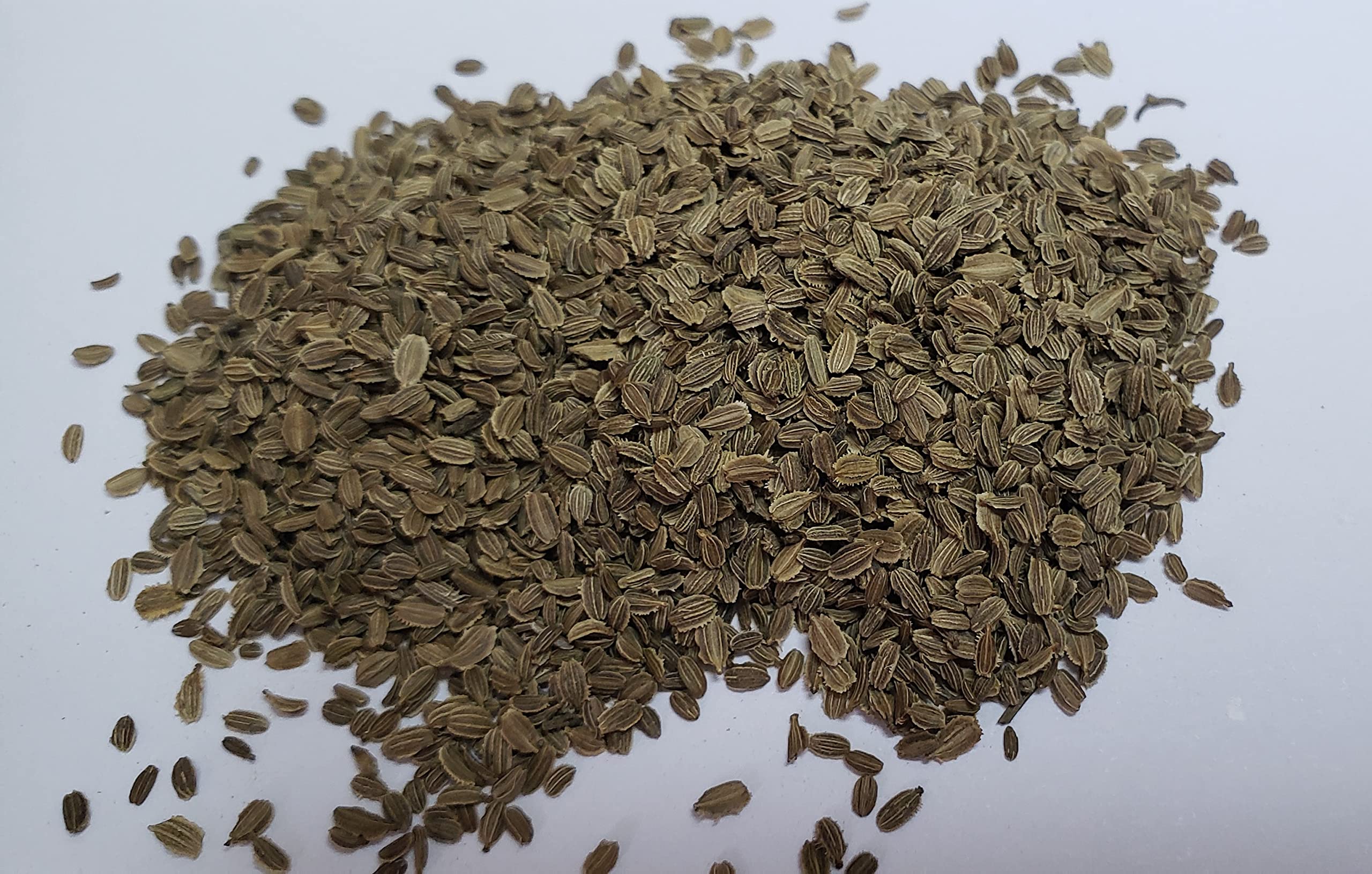 Carrot Seeds Yellowstone Carrot Organic Seeds – Hudson Valley Seed