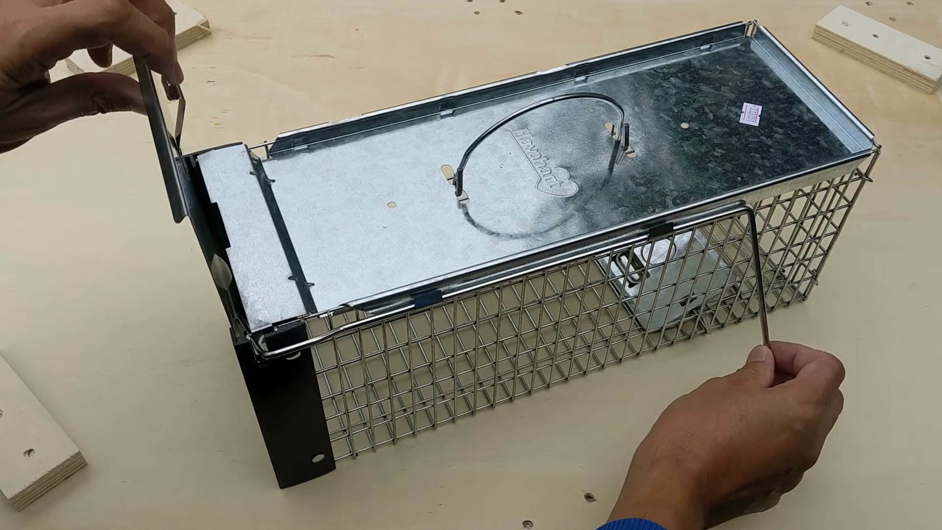 Watch Much safer than traps with spring-loaded doors on Amazon Live