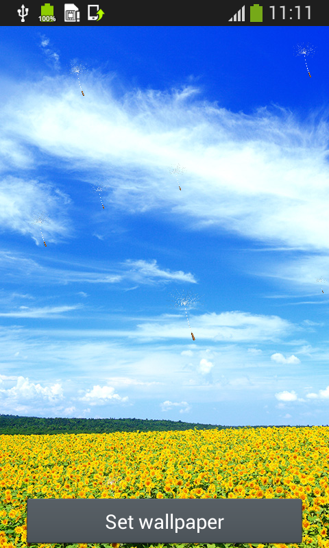Summer Live Wallpapers Summer Desktop Wallpaper Background HD ...