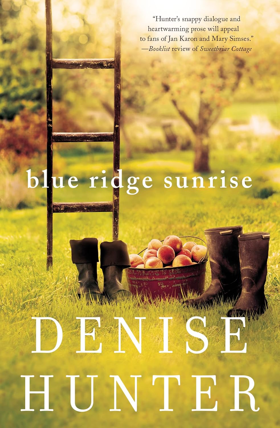 Blue Ridge Sunrise (A Blue Ridge Romance): Hunter, Denise ...