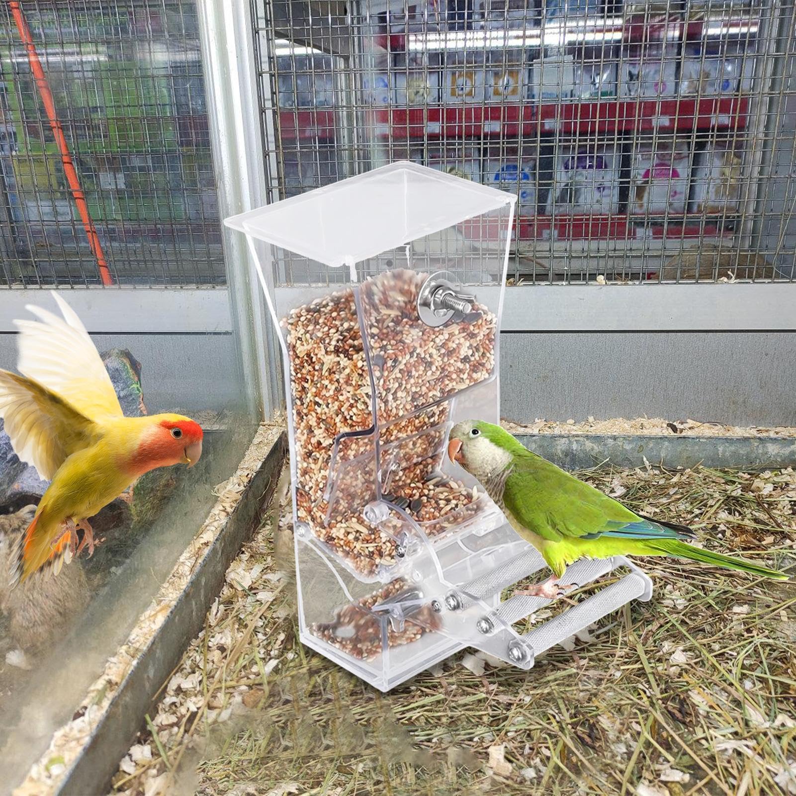 Parrot Water Dispenser No Mess No-Mess Bird Feeder & Water Dispenser ...