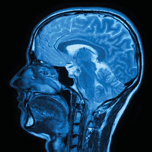 IQ Tester - App on Amazon Appstore