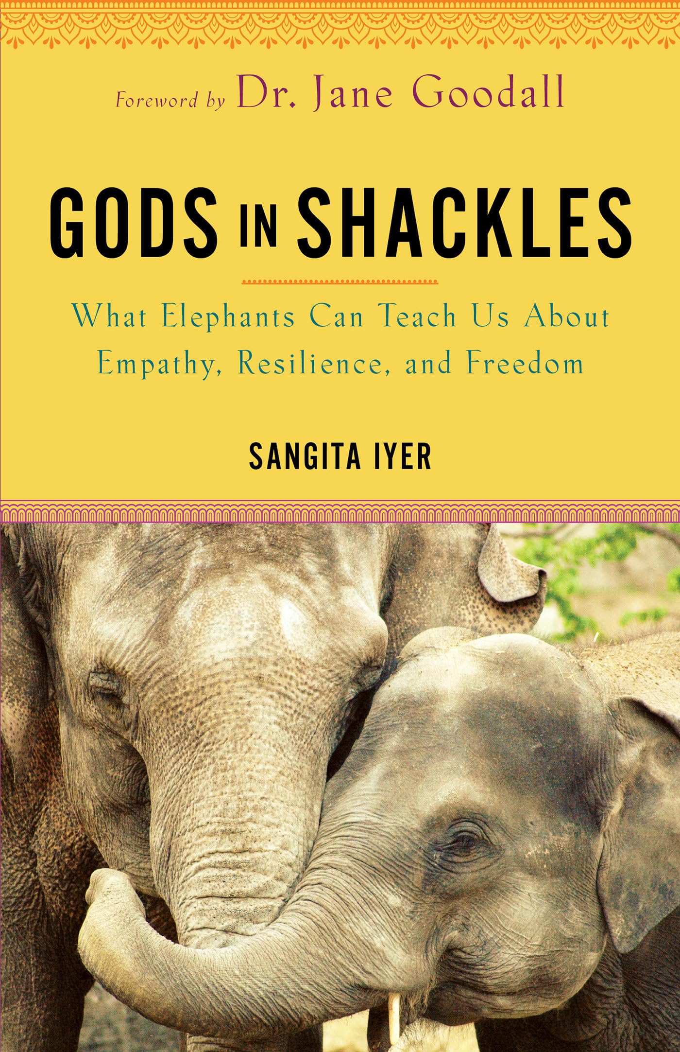 Amazon.com: Gods in Shackles: What Elephants Can Teach Us About Empathy ...