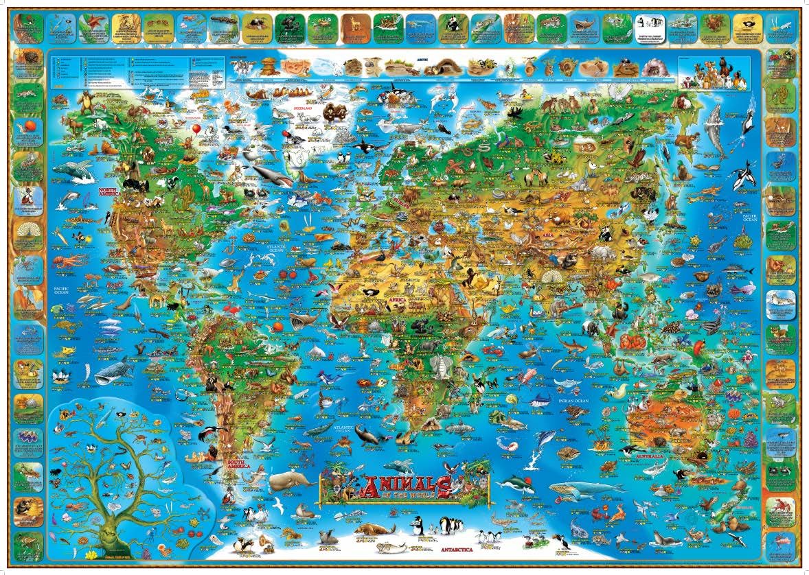 Dino's Illustrated Map of Animals of the World 38" x 54": Dino ...