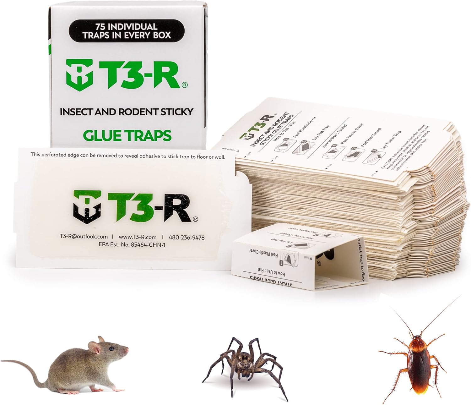 Amazon.com : T3-R Sticky Traps for Bugs 75 Pack Small - Disposable Non ...