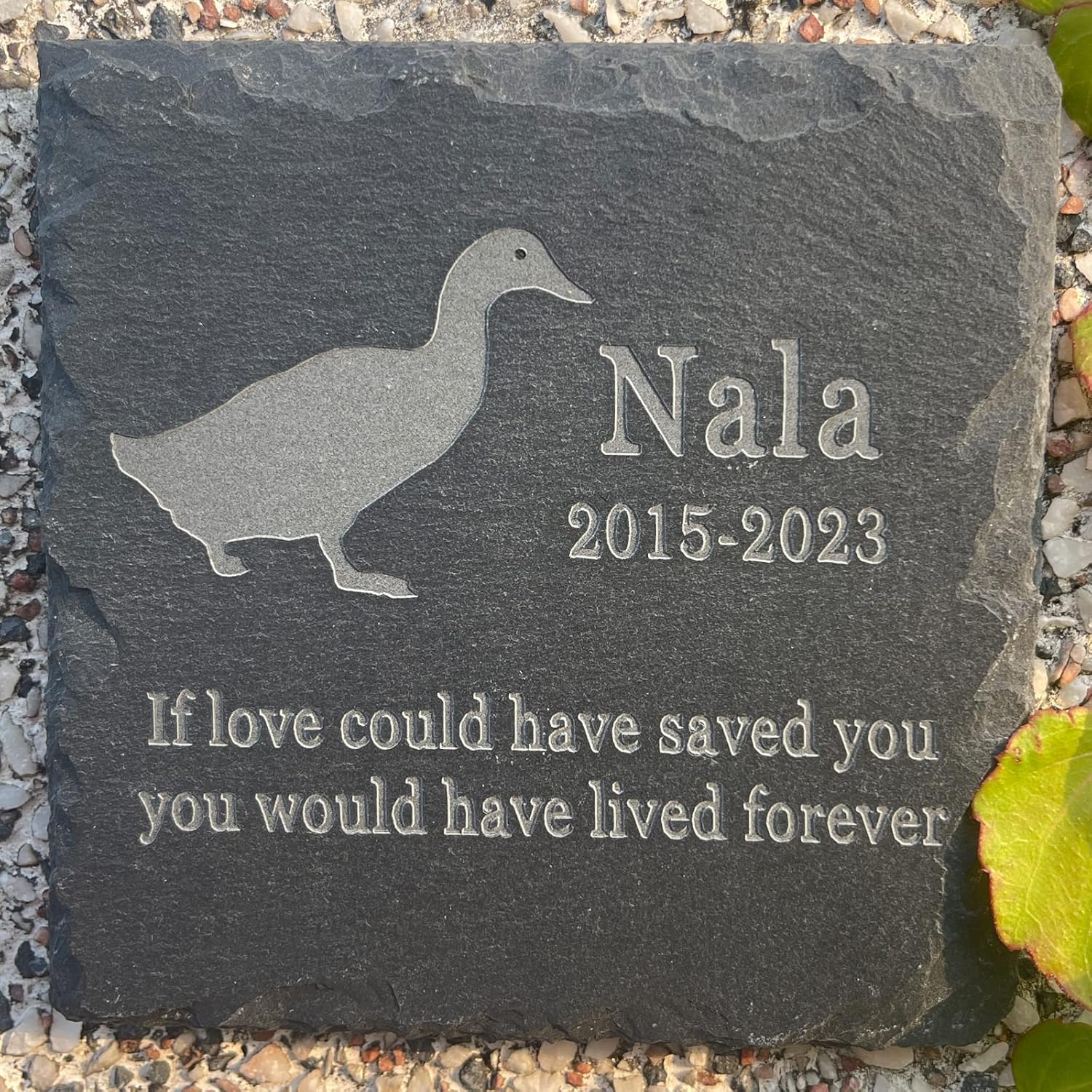 Amazon.com : VAPCUFF Pet Memorial Stones, Pet Memorial Gifts for Duck ...