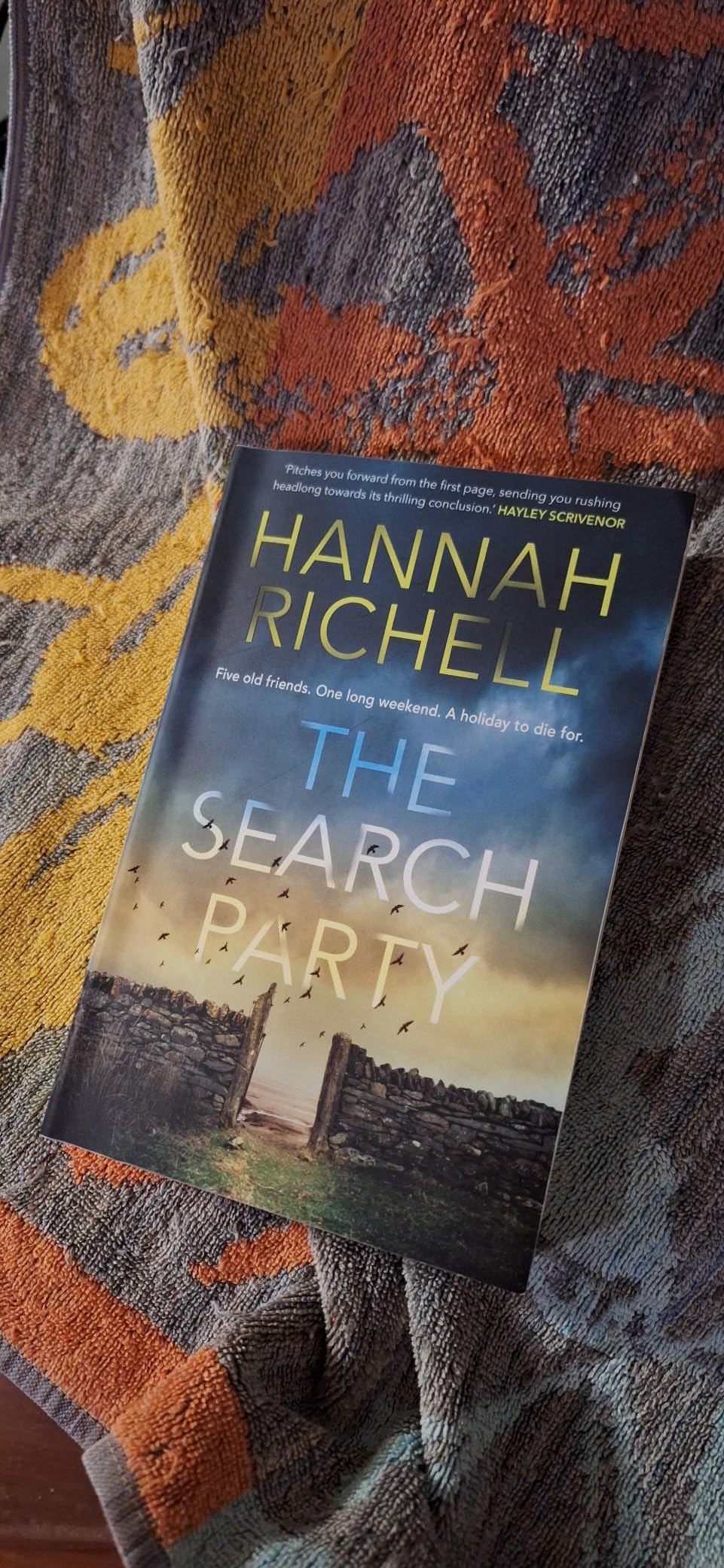 The Search Party eBook : Richell, Hannah: Amazon.com.au: Kindle Store