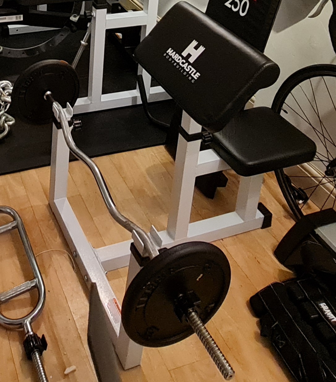 Hardcastle White Adjustable Preacher Curl Bench - Improve Bicep ...