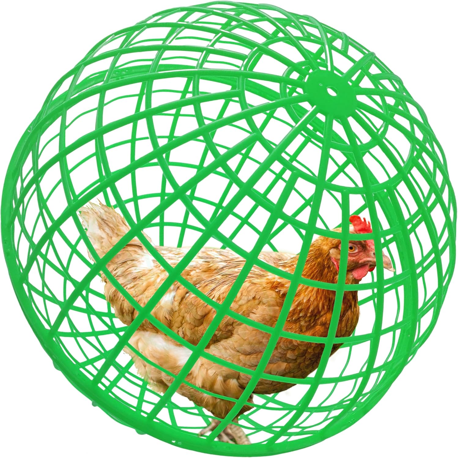 Amazon.com: CalorMixs Rollable Circular Chicken Cage,Outdoor Pet Safety ...