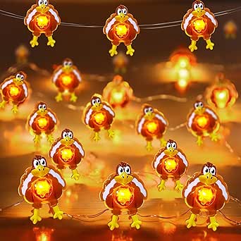 Amazon.com: TURNMEON 2 Pack Thanksgiving Turkey String Lights ...