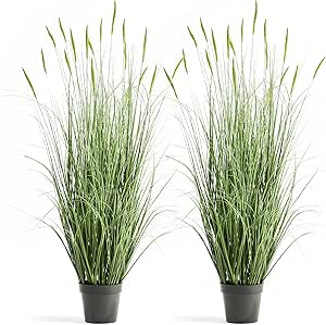 Amazon.com: Faux 4ft 2-Pack Horsetail Reed Grass with Green Spikes ...