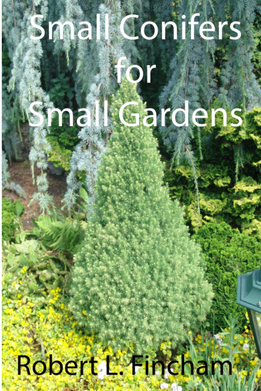 Narrow Conifers For Landscaping How To Choose The Right Tree