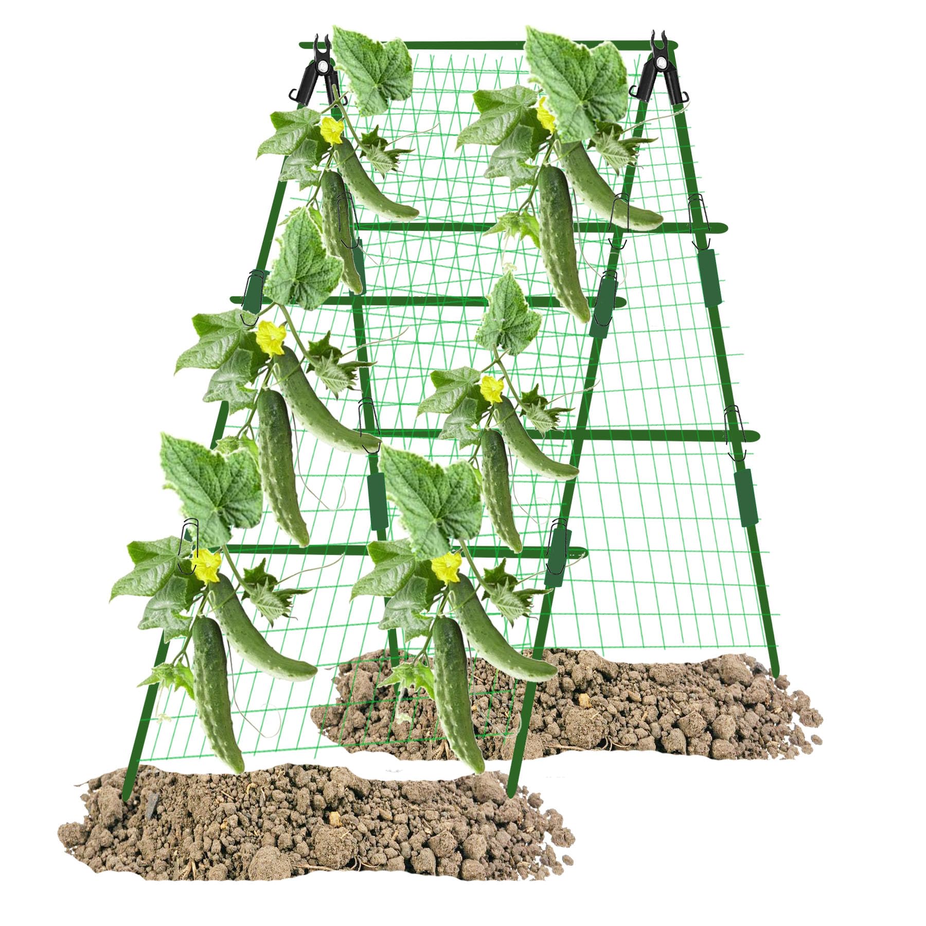 System V Trellis Cucumbers Supporting Ideas For Cucumbers Grown