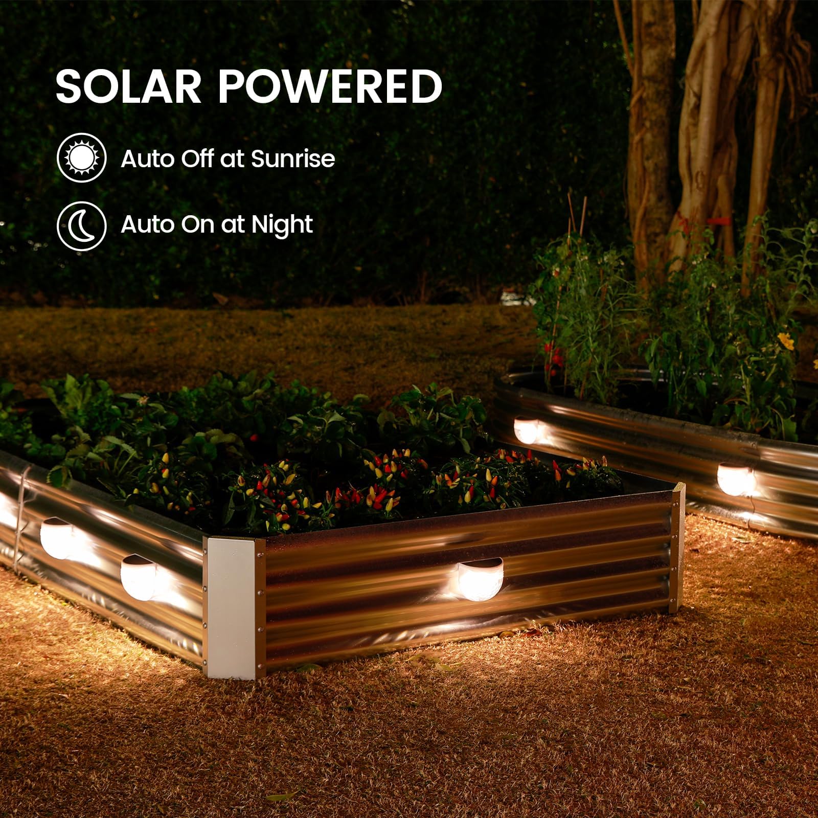 Raised Beds For Garden Lighting
