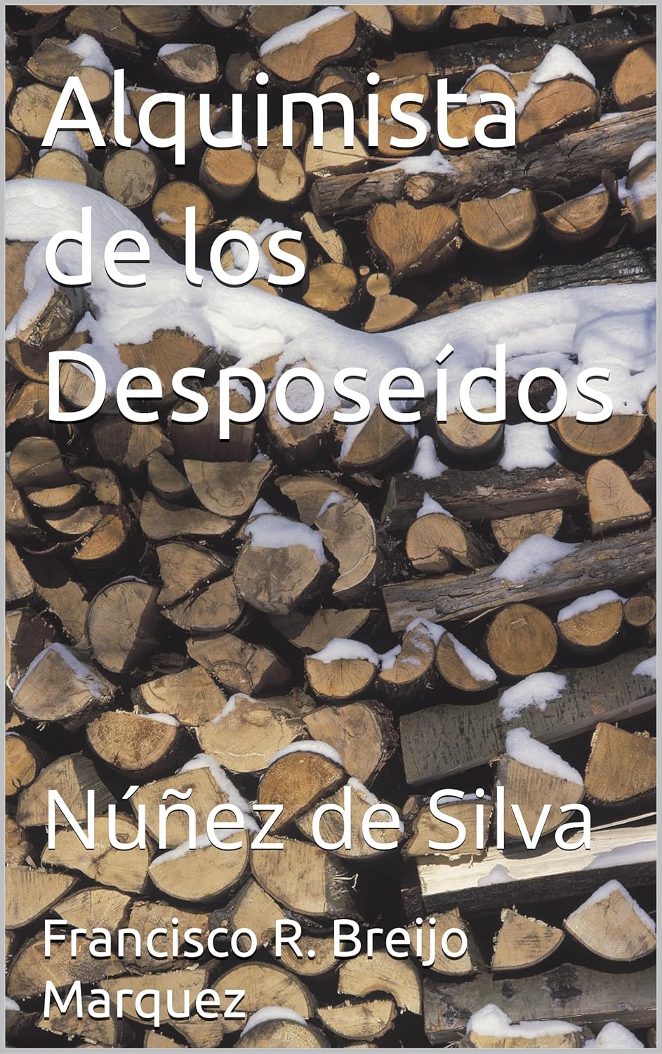 Alquimista de los Desposeídos: Núñez de Silva (médico maldito ...