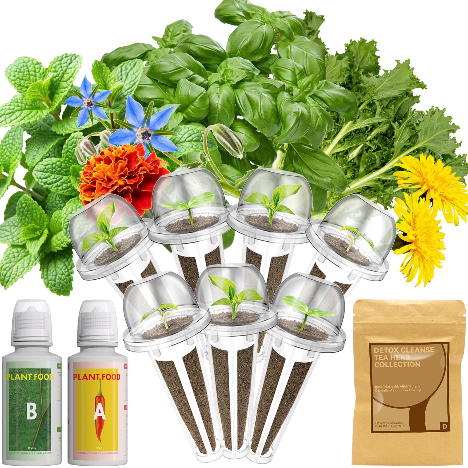 Amazon.com : Lyko Basil Seed Pod Kit for AeroGarden, iDoo, Ahopegarden ...