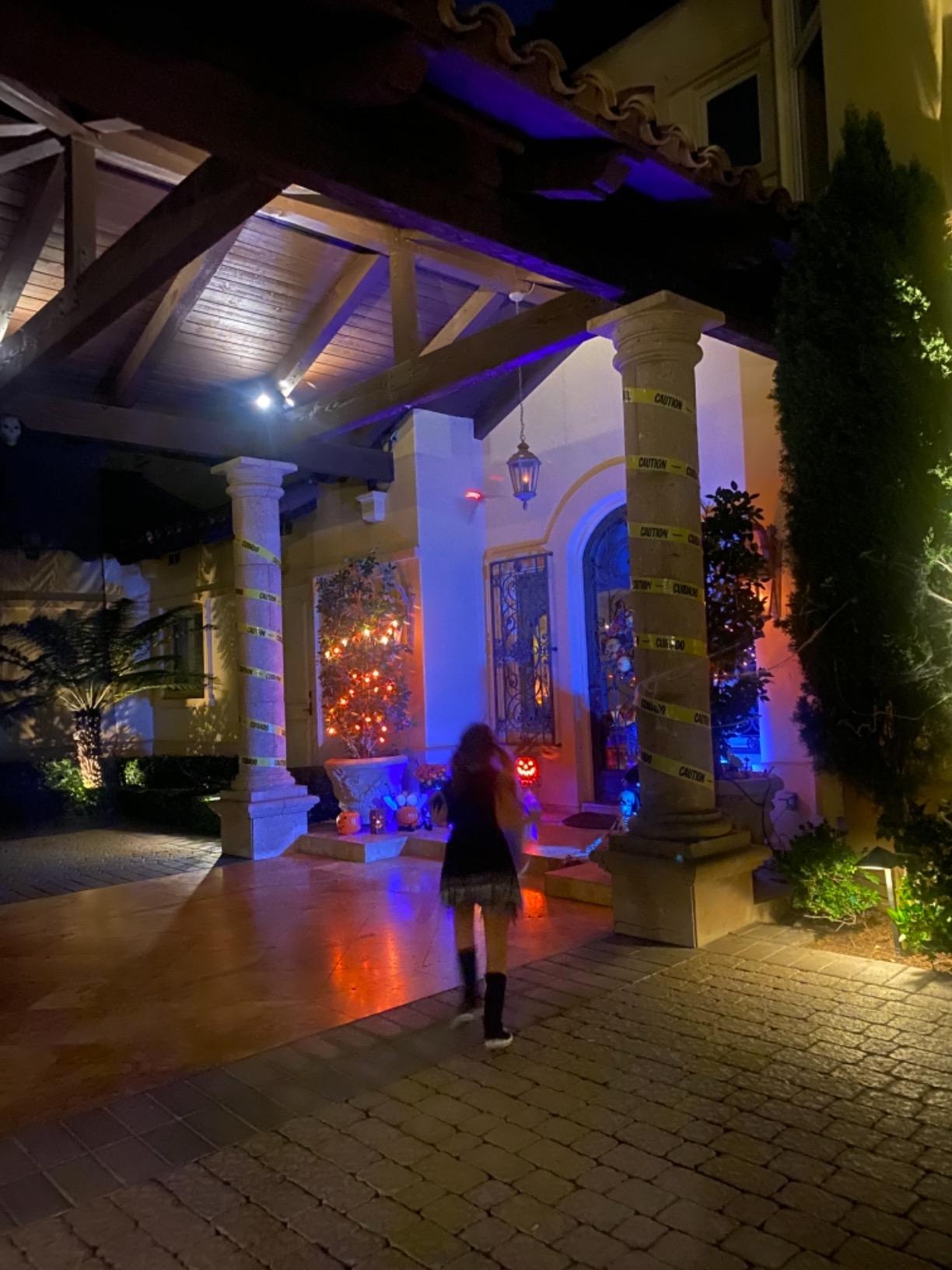 Amazon.com: Buffy Flying Halloween Bat - With Blinking Eyes! : Toys & Games