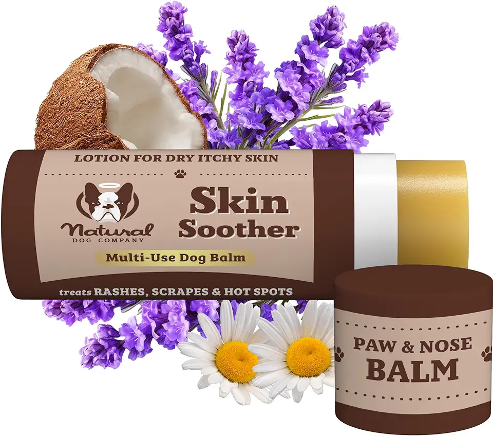 Understanding Boils In Dogs: Causes, Symptoms, And Treatment | PetShun