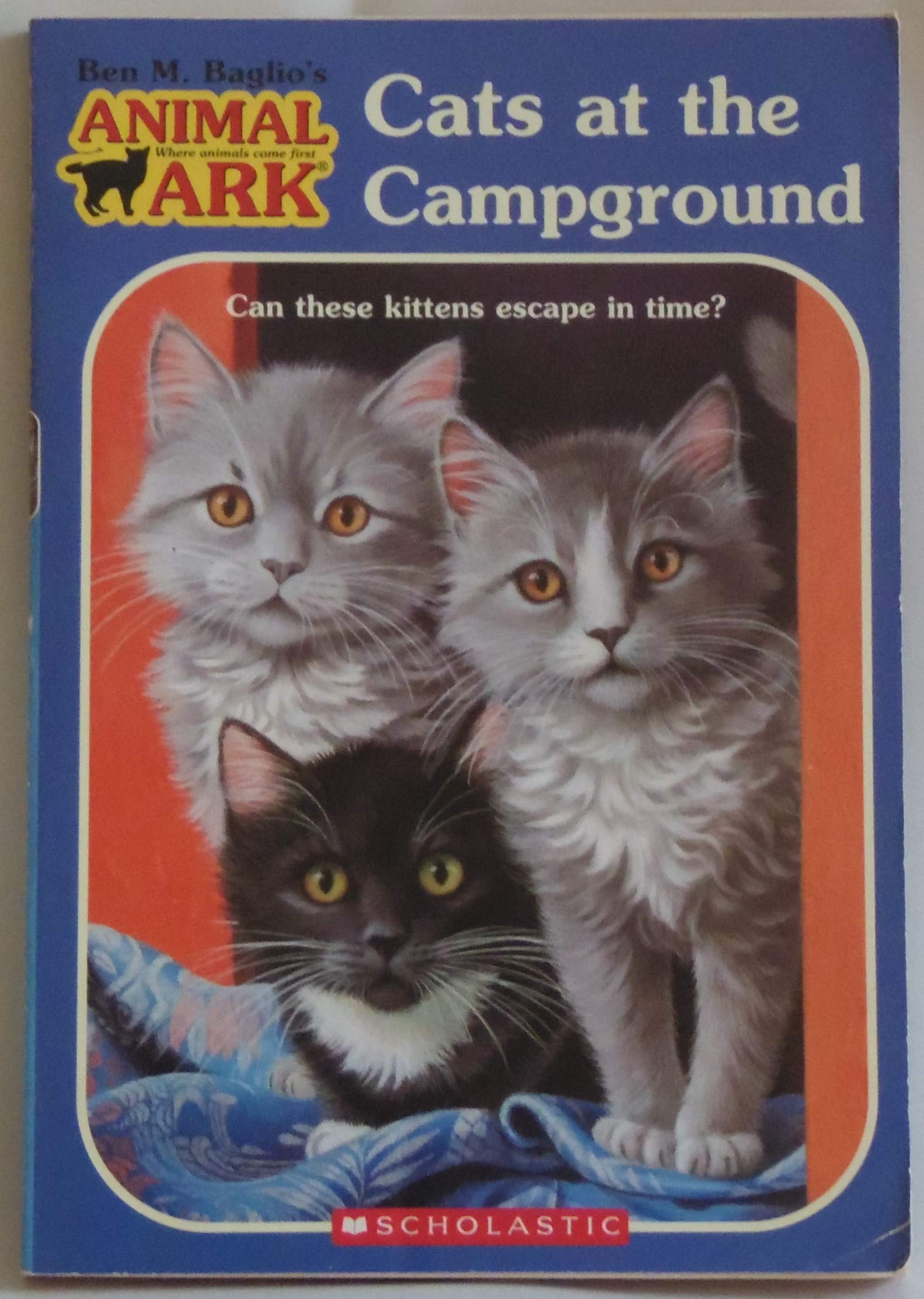 Cats at the Campground (Animal Ark Series #32): Baglio, Ben M., Baum ...