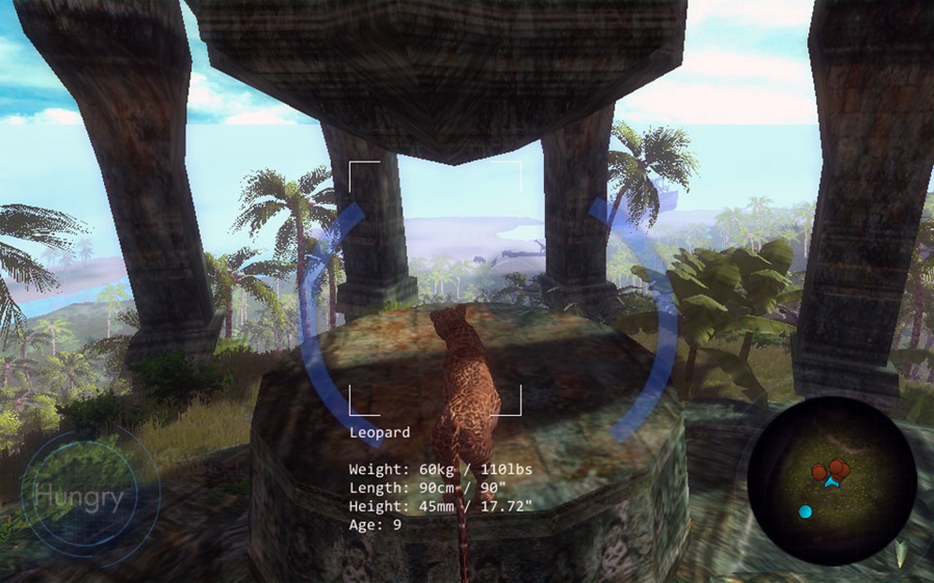 Wild Leopard Simulator:Amazon.co.uk:Appstore for Android