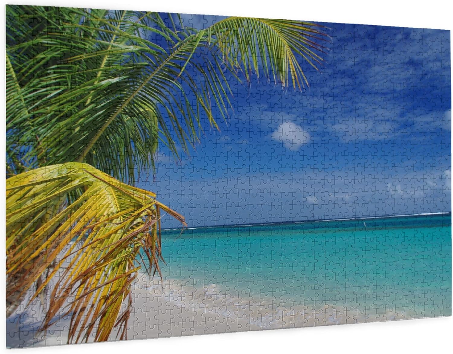 Amazon.com: JIUMU Flamenco-Beach-Culebra-Puerto-Rico-Palms-Best-Beaches ...