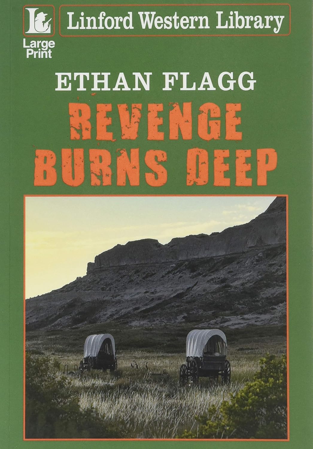 Revenge Burns Deep (Linford Western Library): Flagg, Ethan ...