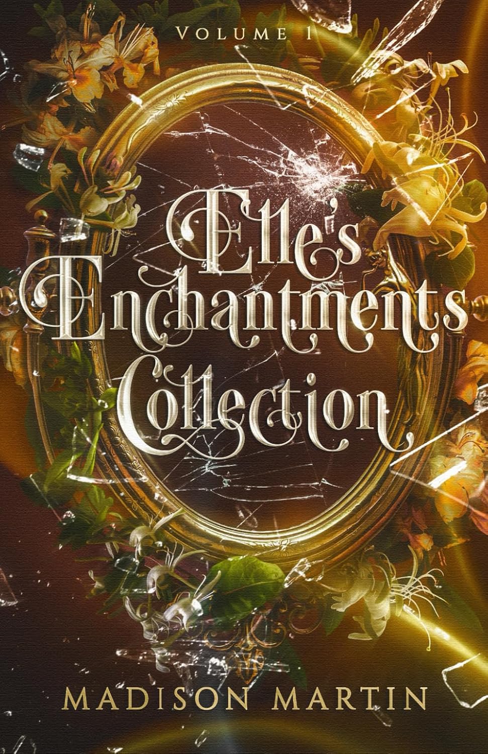 Amazon.com: Elle's Enchantments Collection: Volume 1: 9781962099264 ...