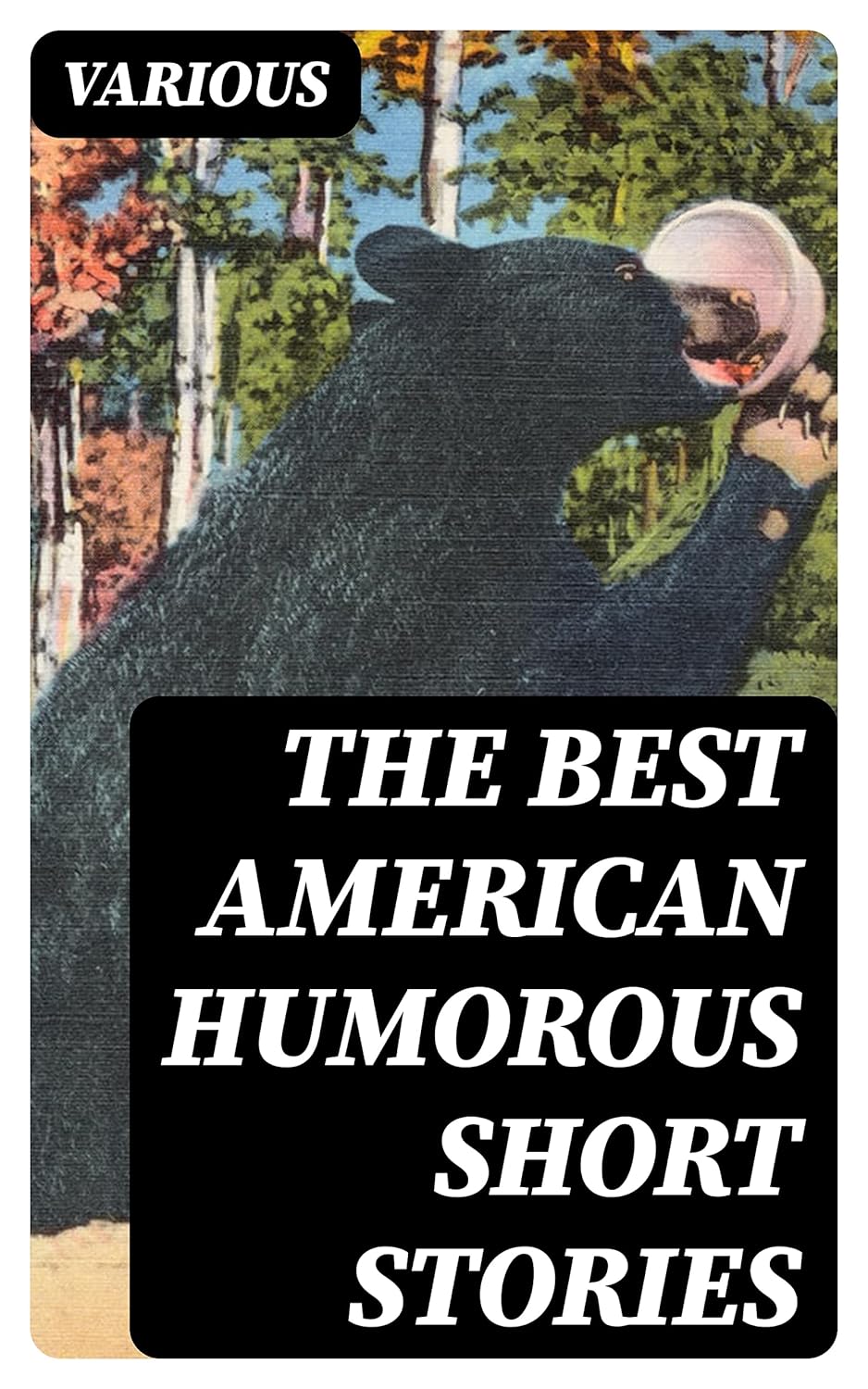 The Best American Humorous Short Stories - Kindle edition by Various ...