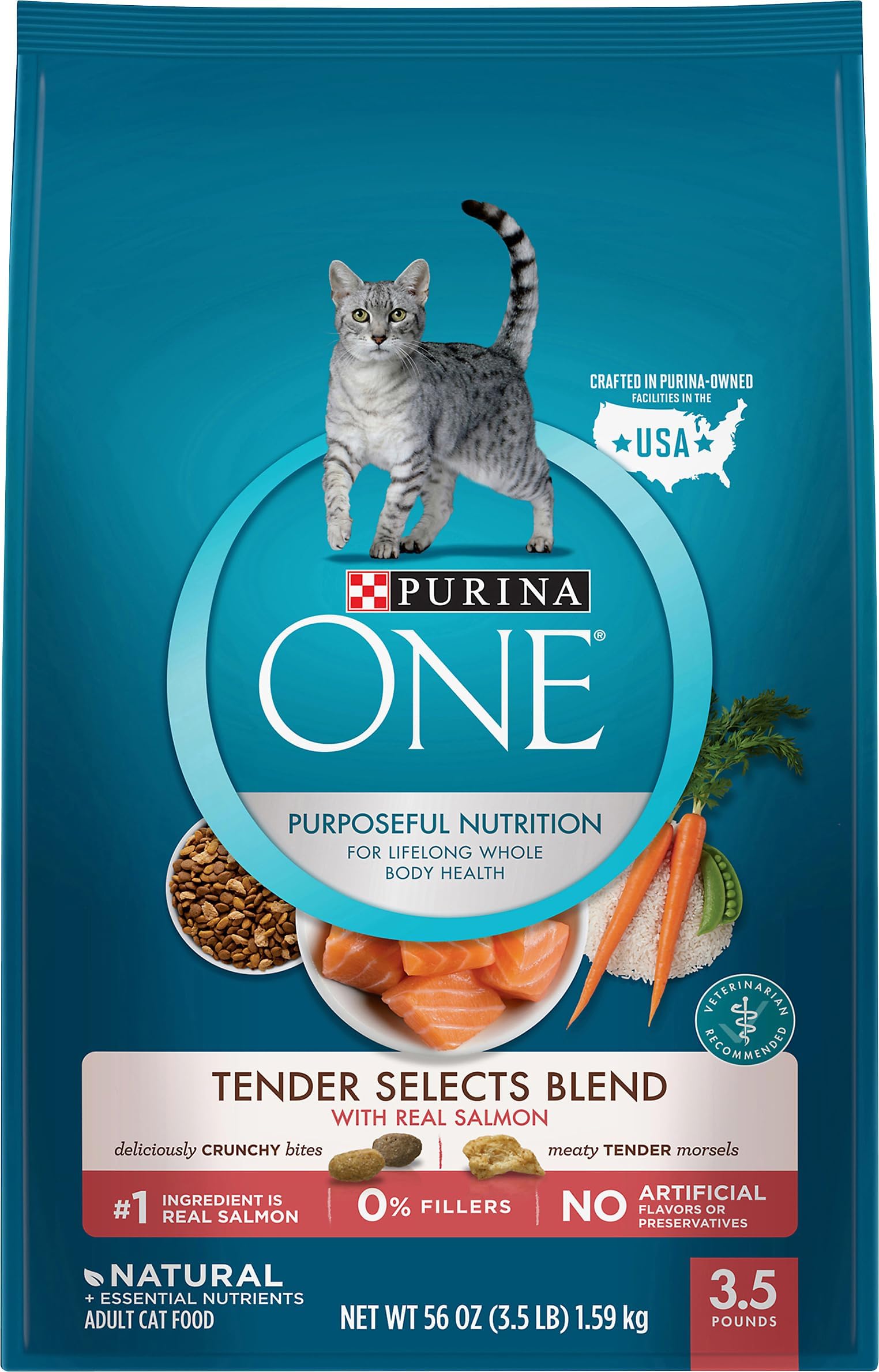 Amazon.com : Purina ONE Sensitive Stomach, Sensitive Skin, Natural Dry ...