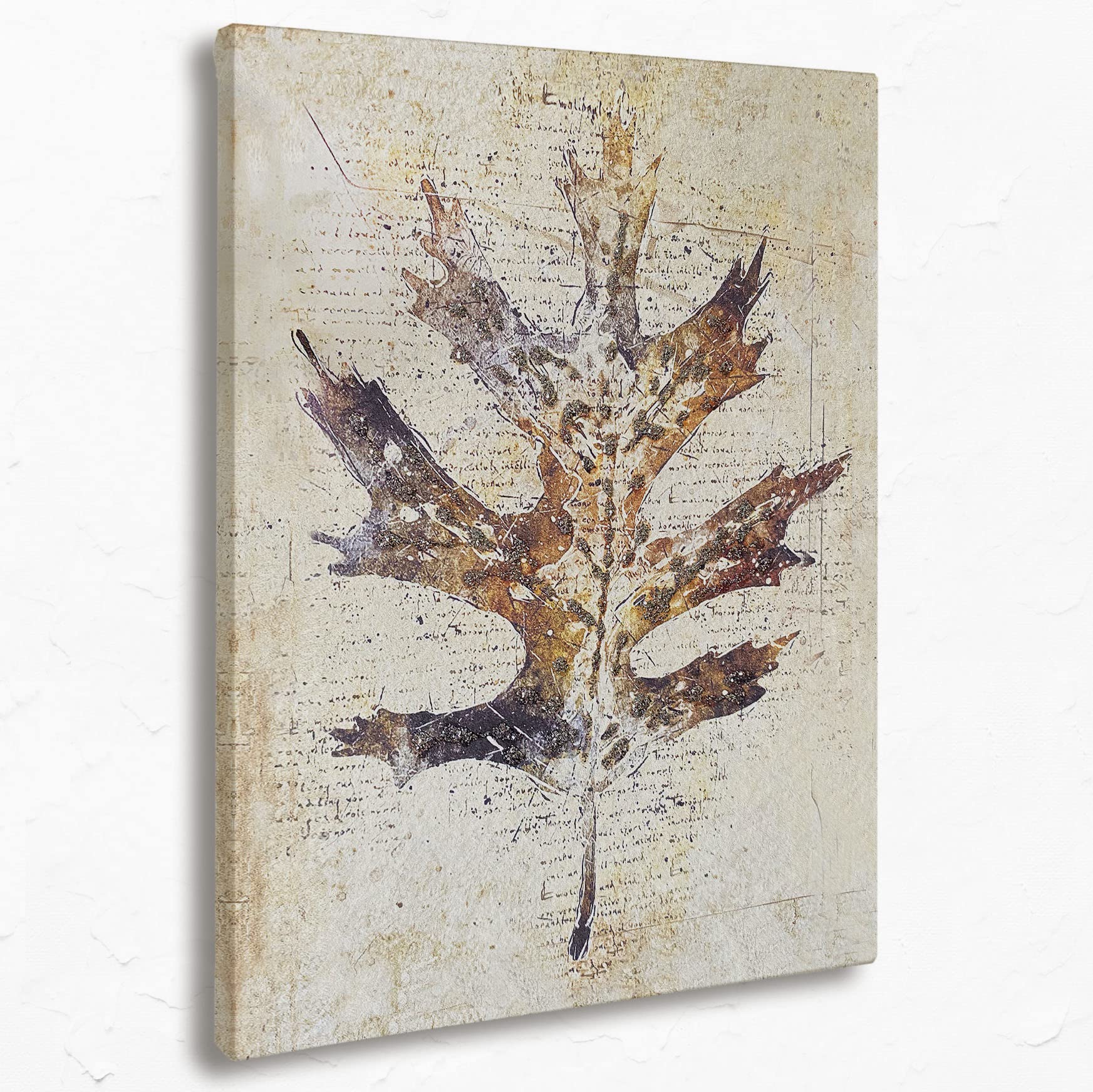 Falling Maple Leaf Drawing