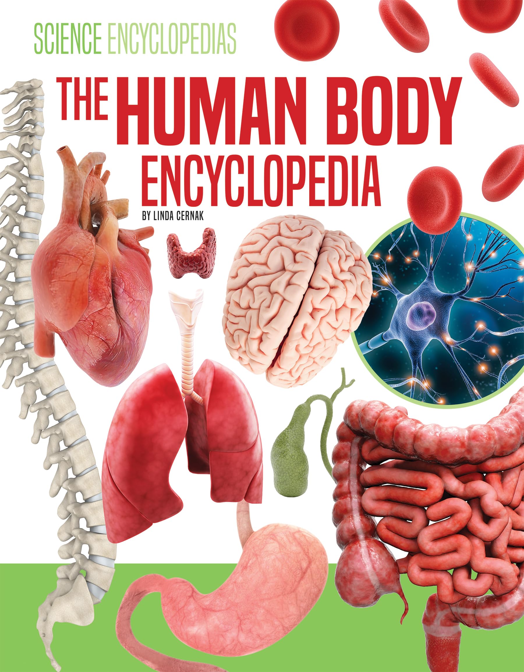 The Human Body Encyclopedia (Science Encyclopedias): Cernak, Linda ...