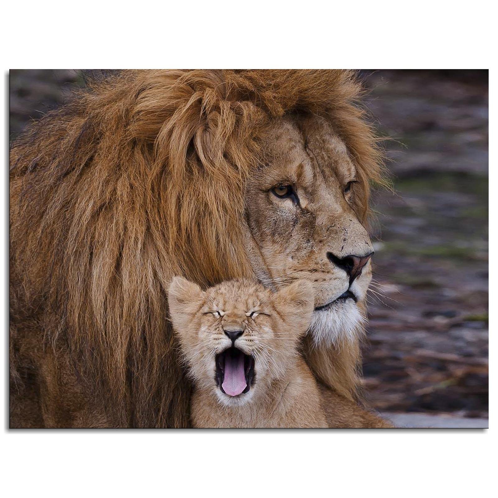 Cute Yawning Animals